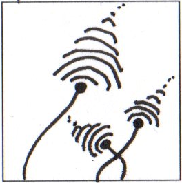 Zinger – Tangle Addicts