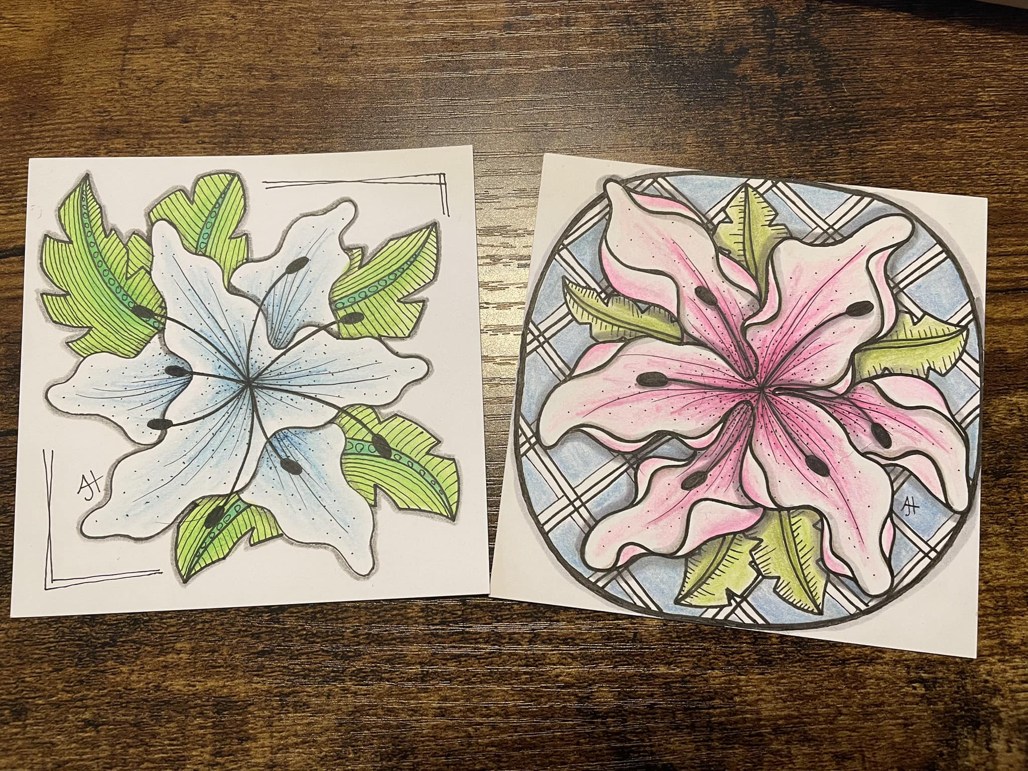 Stargazer & Kepi | Tangle Time Recap – Tangle Addicts