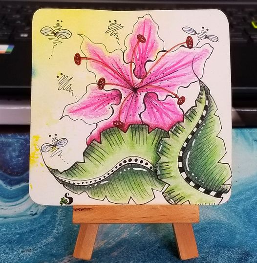 Stargazer & Kepi | Tangle Time Recap – Tangle Addicts