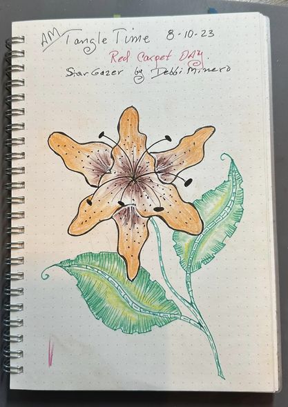 Stargazer & Kepi | Tangle Time Recap – Tangle Addicts